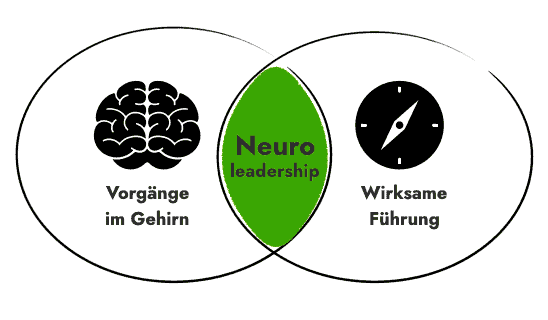 Neuroleadership einfach erklärt - dno